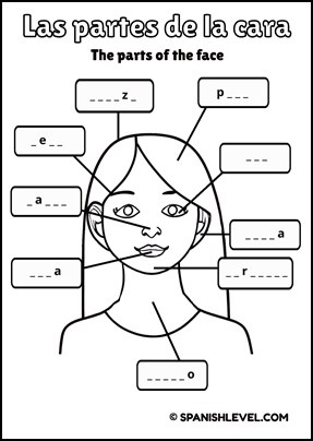 Parts of the Face in Spanish Worksheet | Spanish Level